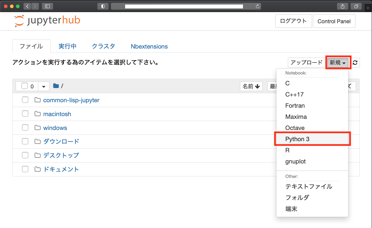 Jupyter Notebook の利用法 - HEROIC 2021