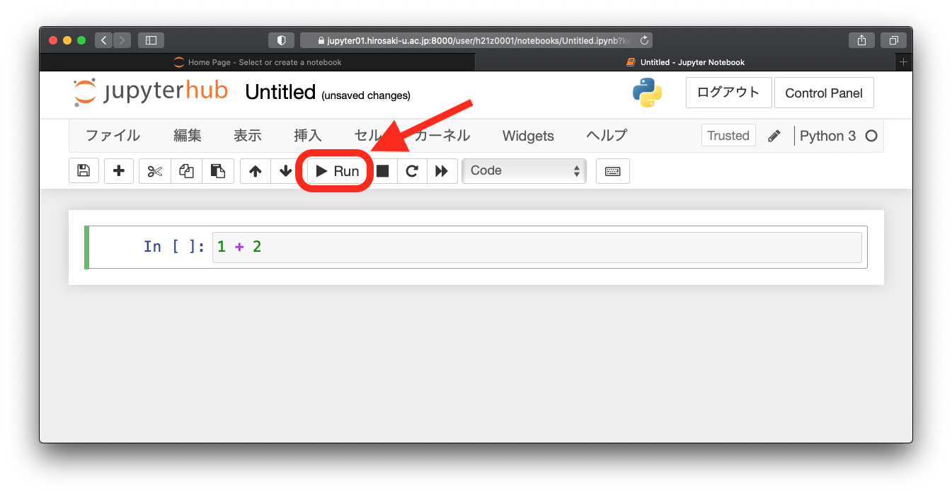 Jupyter Notebook の利用法 - HEROIC 2021